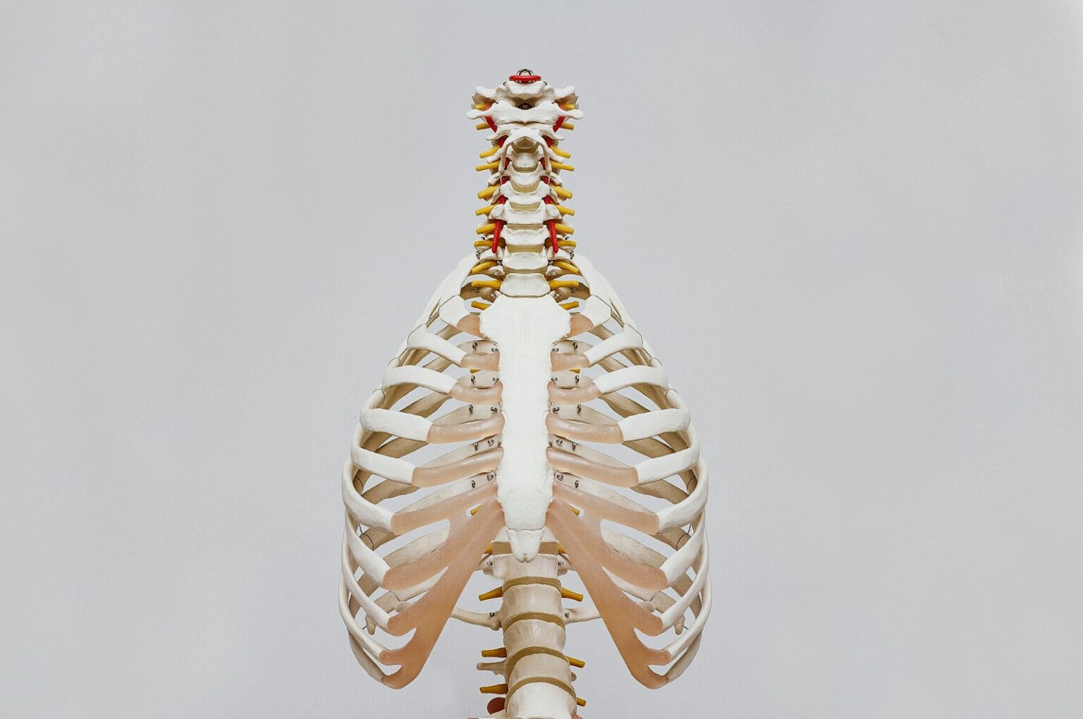 Mid Back Pain That Takes Your Breath Away | CT Spine & Orthopedic